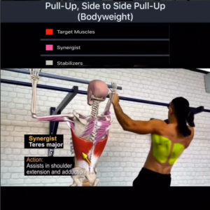 HOW TO PULL UPS | Side to Side | Guide & Video - weighteasyloss.com