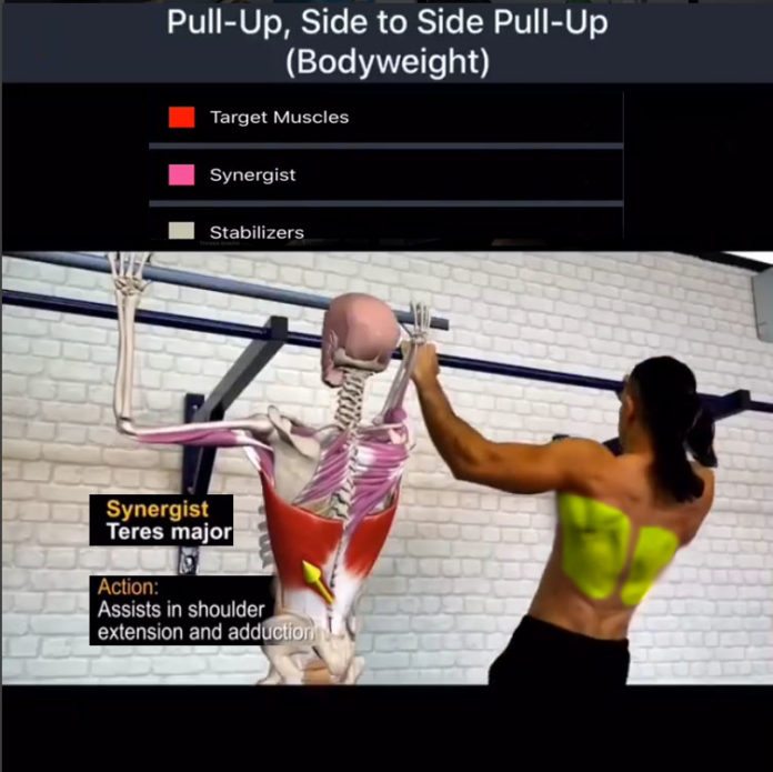 HOW TO PULL UPS | Side to Side | Guide & Video - weighteasyloss.com