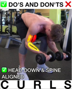 Isolation Dumbbell Curls Proper Form | Video & Guide