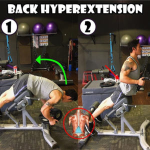 Back Hyperextension | Guide & Photo
