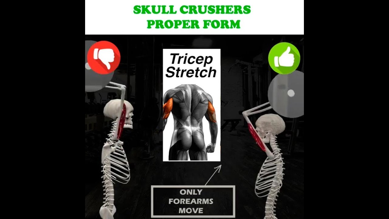 SKULL CRUSHERS PROPER FORM | Video & Guide - weighteasyloss