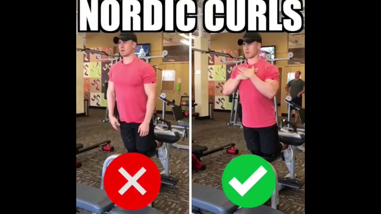 Nordic Curls Proper Form | Video & Guide