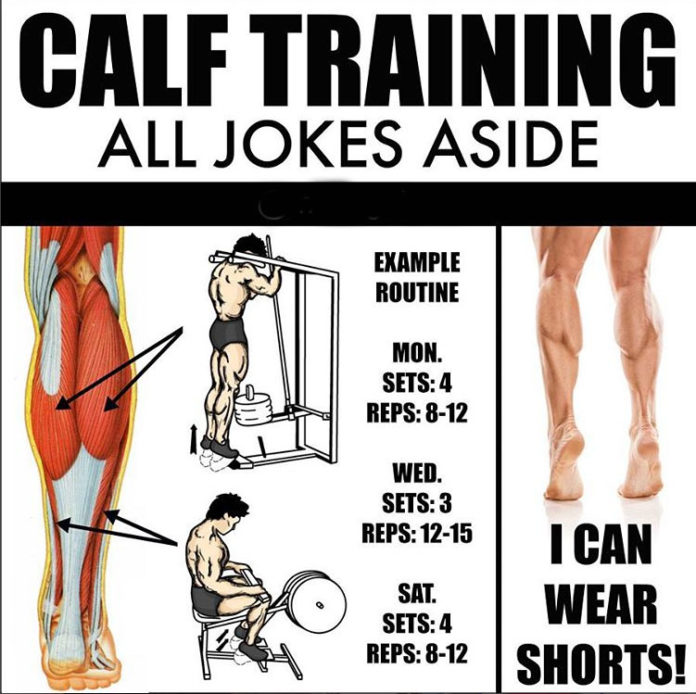 CALF TRAINING DAYS | VIDEO & GUIDE