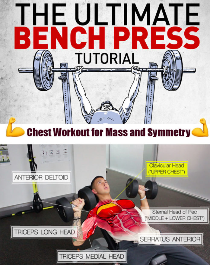 Best Science-Based Chest Workout