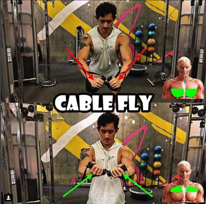 Cable Fly | Video & Guide