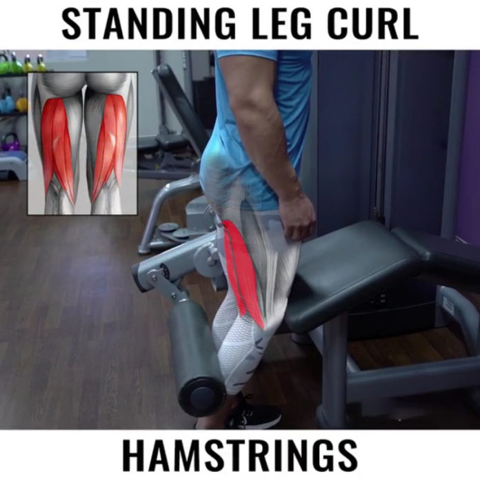 HOW TO STANDING LEG CURL | Video & Guide
