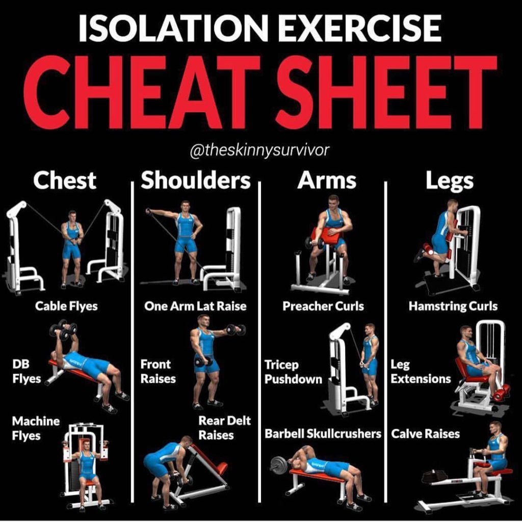 COMPOUND & ISOLATION EXERCISE CHEAT SHEET | GUIDE