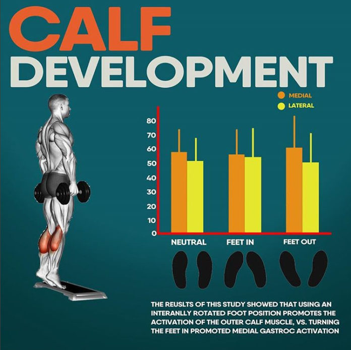 CALF DEVELOPMENT | GUIDE