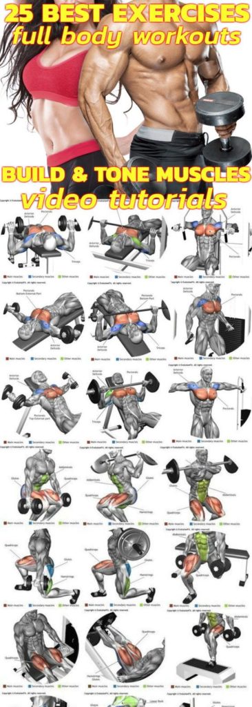 25 Best Exercises Full Body Workout Part1| Video & Guide