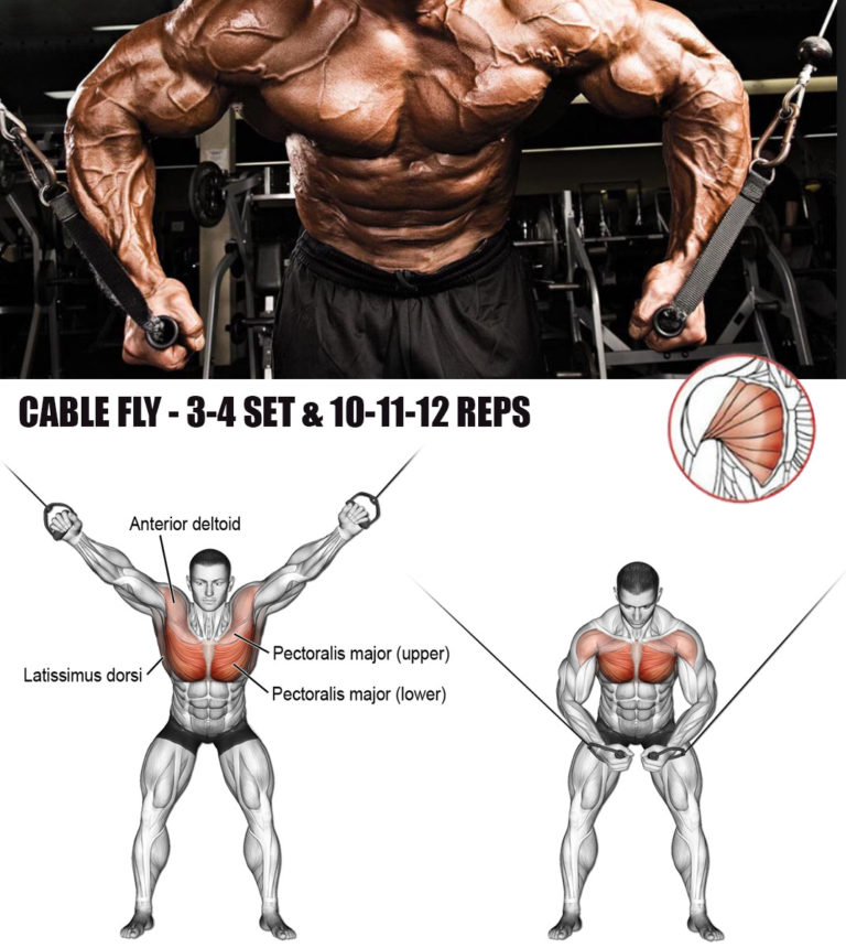 3 BEST EXERCISE FOR CHEST | GUIDE