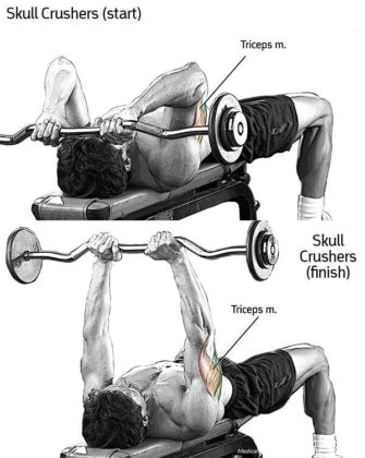 Skull Crushers Proper Form | Video & Guide
