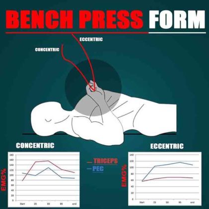 BENCH PRESS FORM | GUIDE