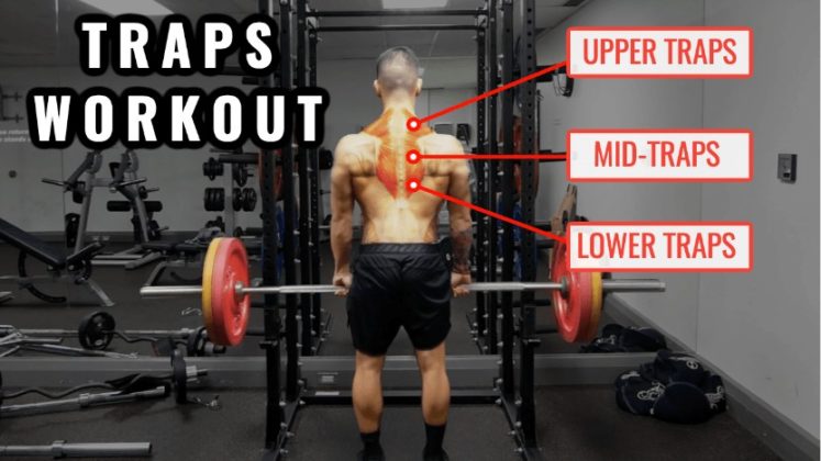 Based Trap Workout | Guide