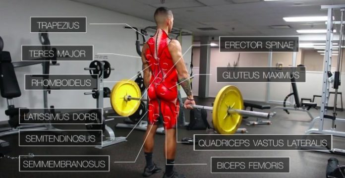 Based Back Workout for Growth