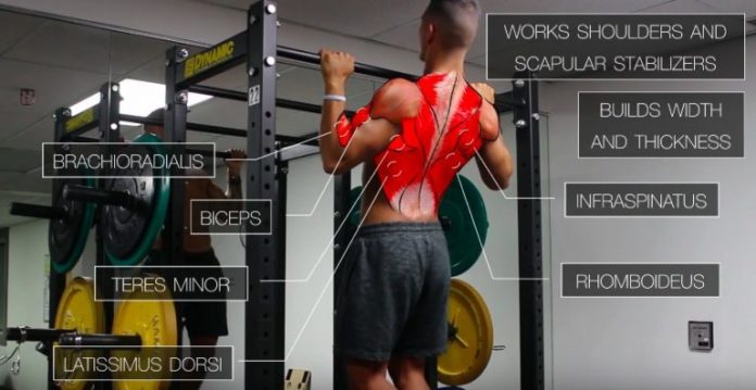 Based Back Workout for Growth