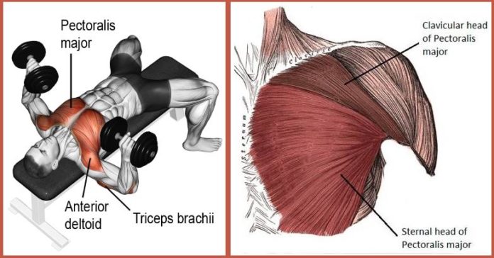 IMPROVE YOUR MAX BENCH PRESS | GUIDE