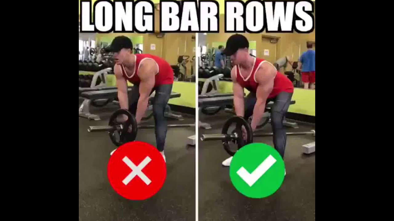Long Bar Rows at Ricardo Watkins blog