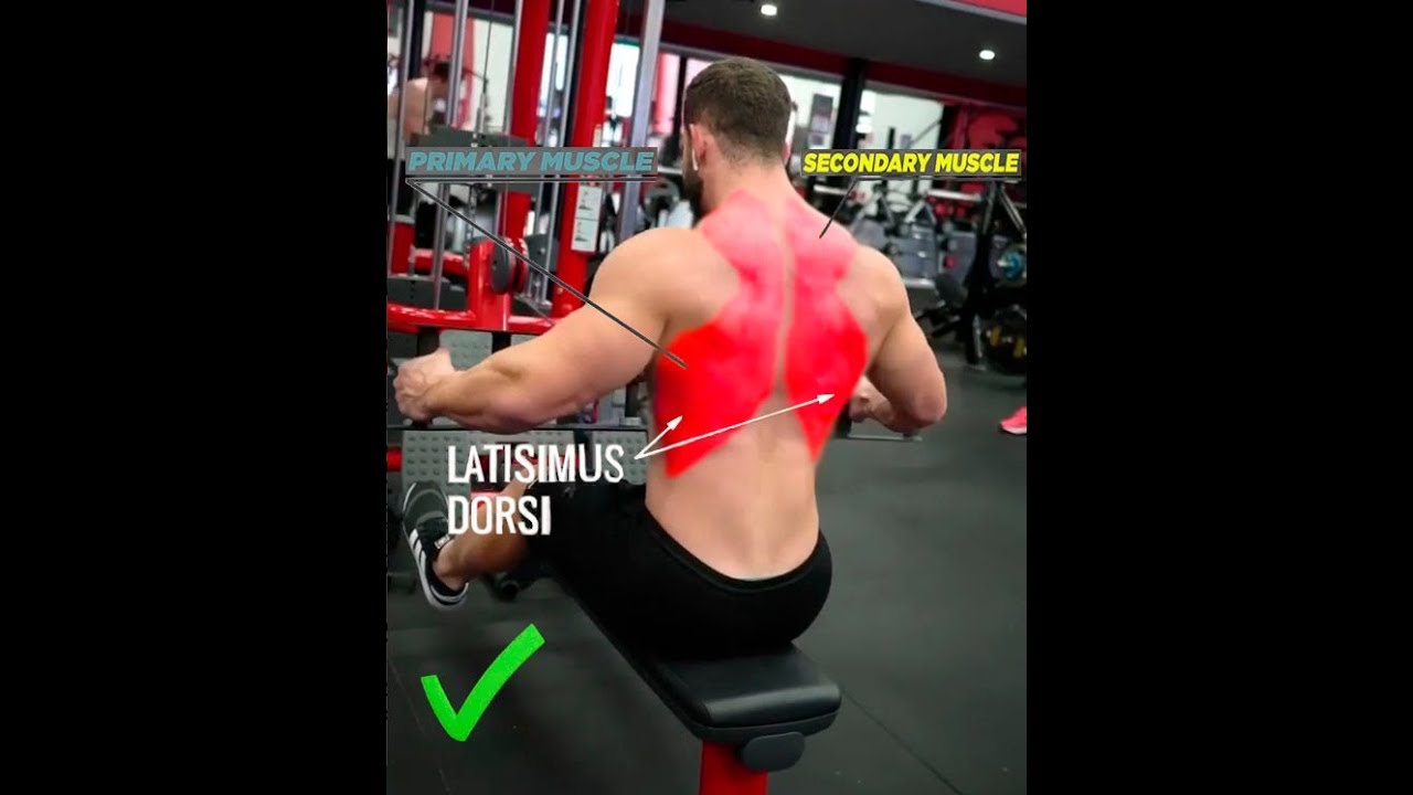 SEATED ROW SUPERSET | VIDEO & GUIDE