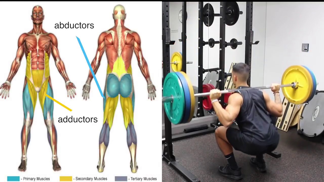 Based Legs Workout for Size and Strength