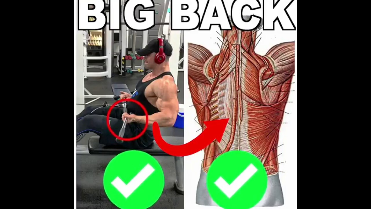 MY TOP 3 Secrets to Back Gains | Video & Guide