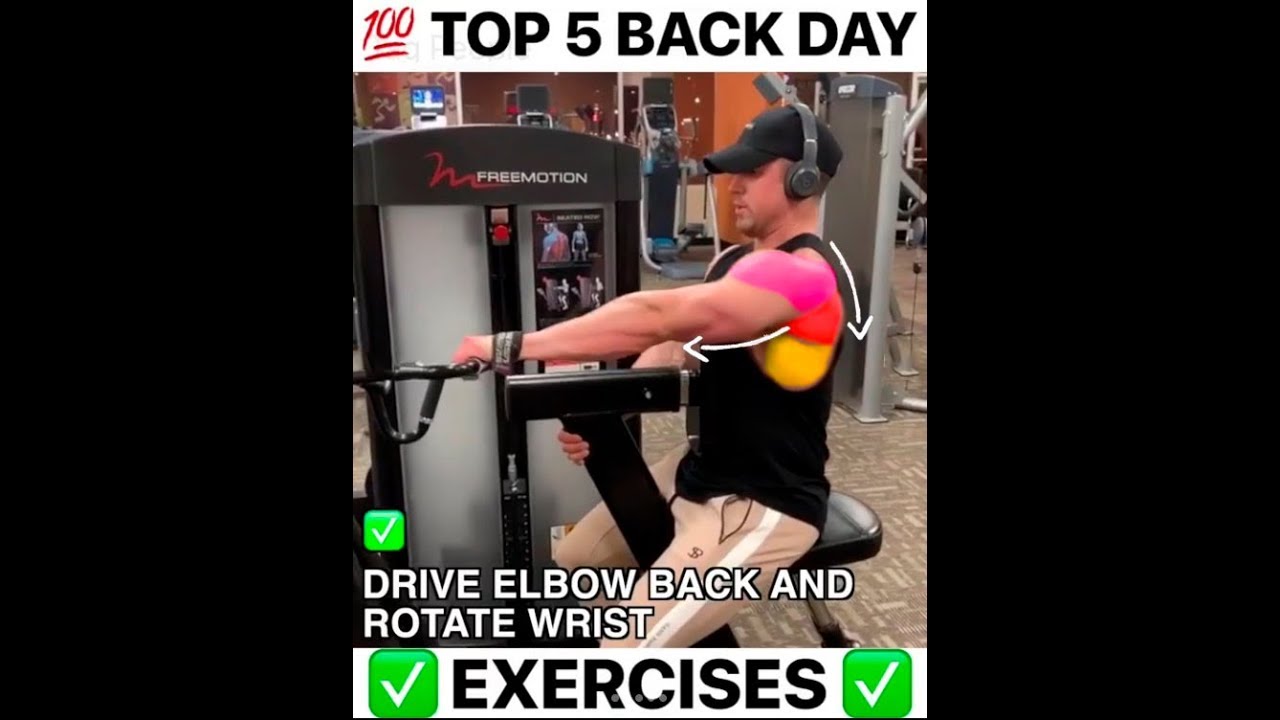 MY TOP 5 Back Exercises PART1 | Video & Guide
