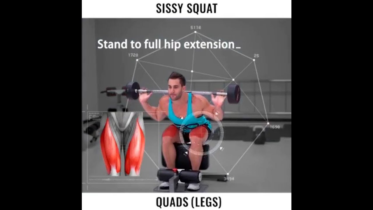SISSY SQUATS | Video & Guide