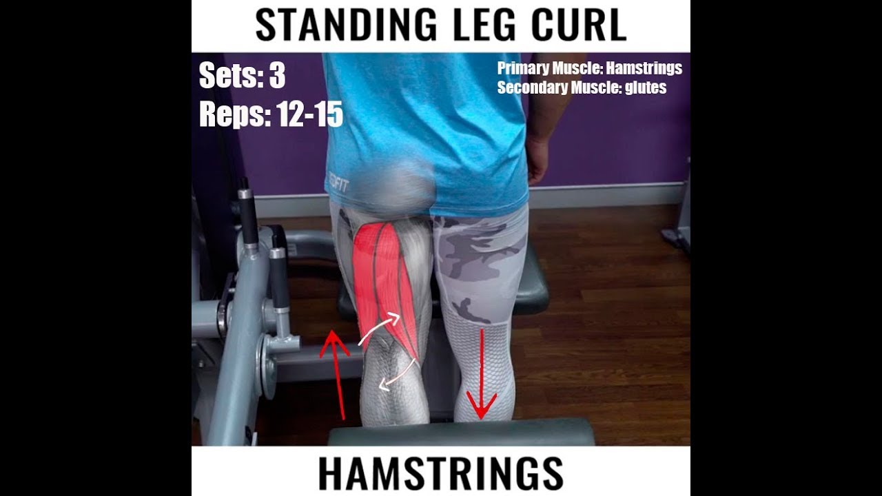 HOW TO STANDING LEG CURL | Video & Guide