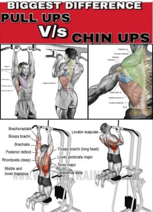 3 TOP BACK ATTACK EXERCISES | GUIDE