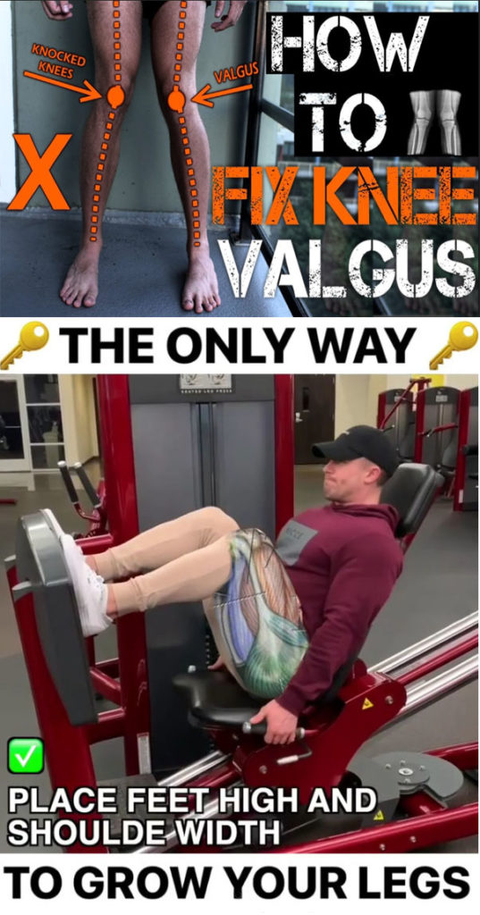 2 Legs Exercises Grow | Guide