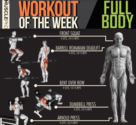 FULL BODY WORKOUT ON WEEK | GUIDE