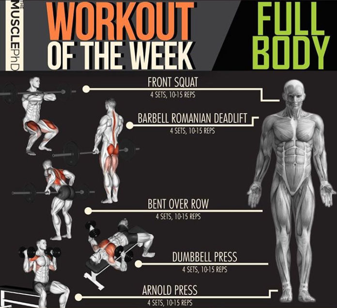 FULL BODY WORKOUT ON WEEK | GUIDE