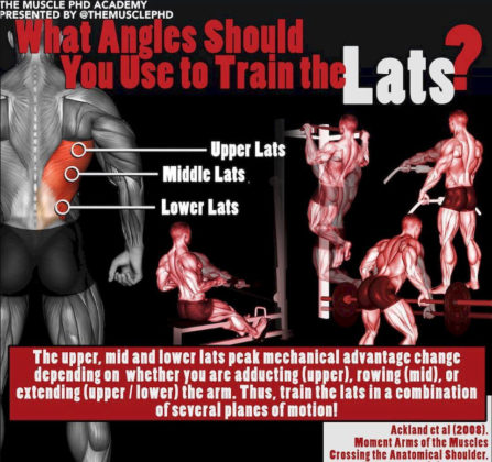 HOW TO TRAIN THE LATS | VIDEO & GUIDE