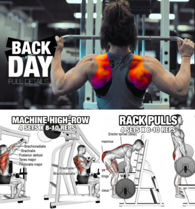 HOW TO TRAIN THE LATS | VIDEO & GUIDE