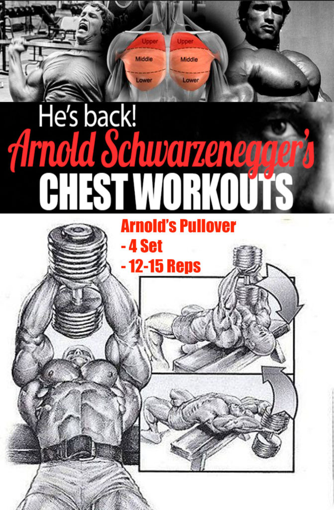 5 Arnold's Exercises Chest Routine | Guide