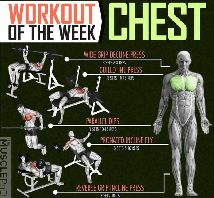 WEEK CHEST WORKOUT | VIDEO & GUIDE