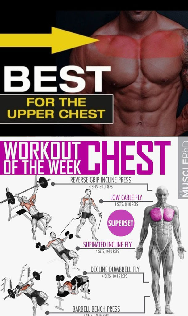 WEEK CHEST WORKOUT | VIDEO & GUIDE