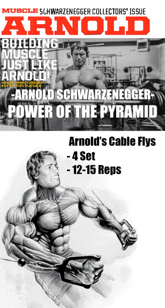 5 Arnold's Exercises Chest Routine | Guide