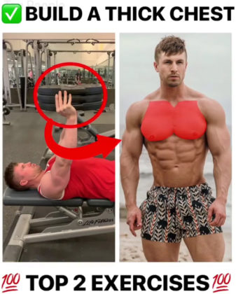 TOP 2 EXERCISES TO BUILD A THICK CHEST