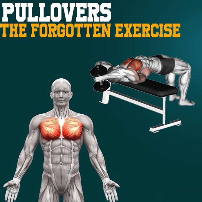Pullovers the Forgotten Exercise | Guide