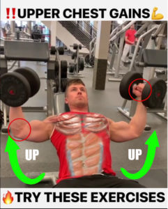 3 EXERCISES FOR UPPER CHEST | Video & Guide