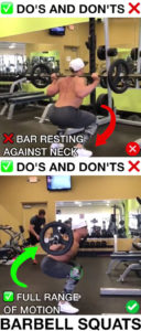 Barbell Squats Proper Form | Video & Guide