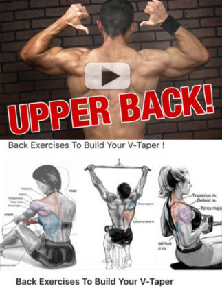 How to Chest & Back Exercises