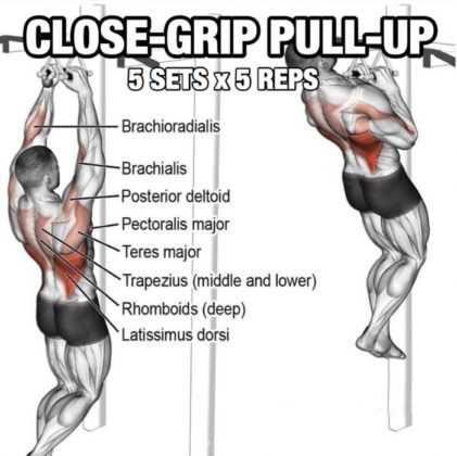 PULL-UP VARIATIONS