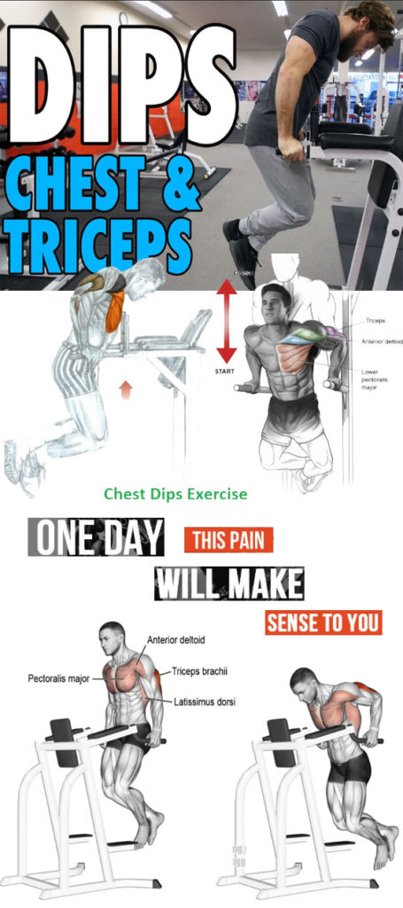 Triceps & Chest Dips | Pics & Guide