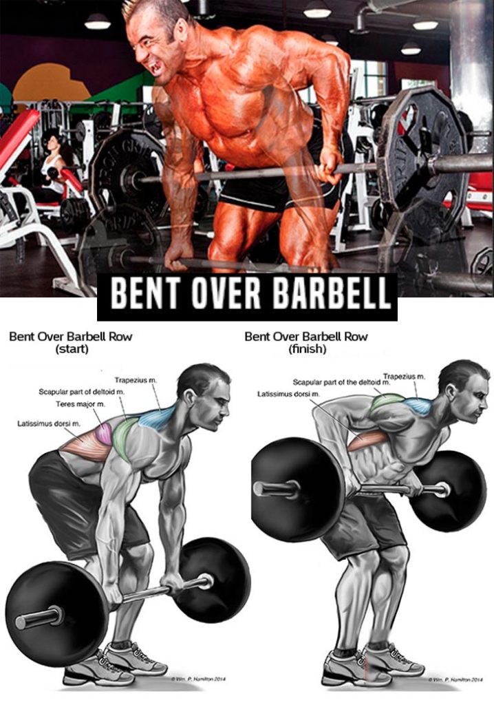 4 OF THE BEST COMPOUND EXERCISES | GUIDE