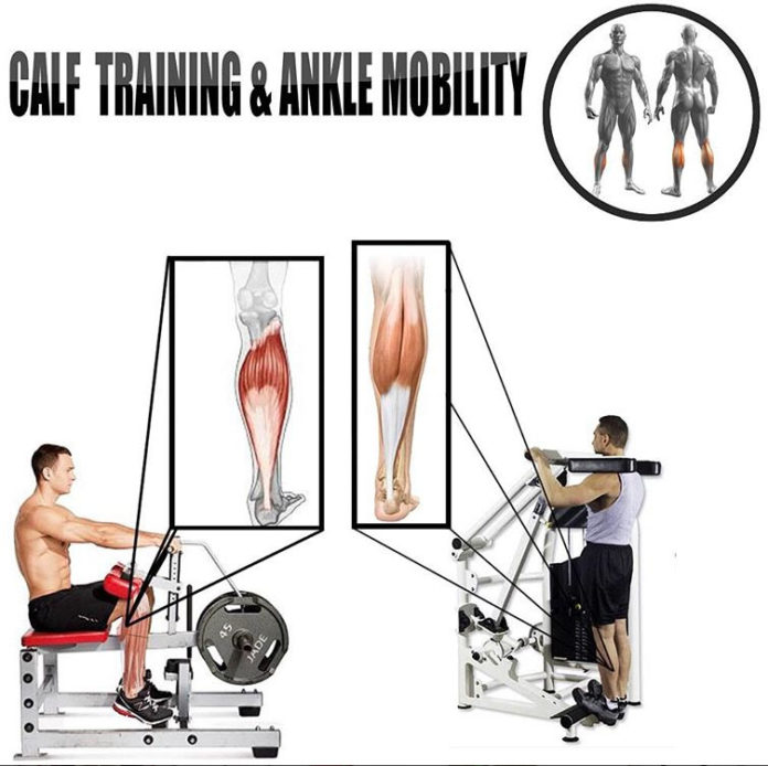 Train Your Calfs and Gain Ankle Mobility