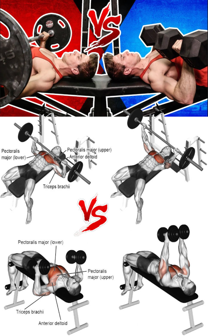 4 BEST COMPOUND EXERCISES