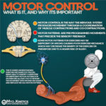 MOTOR CONTROL