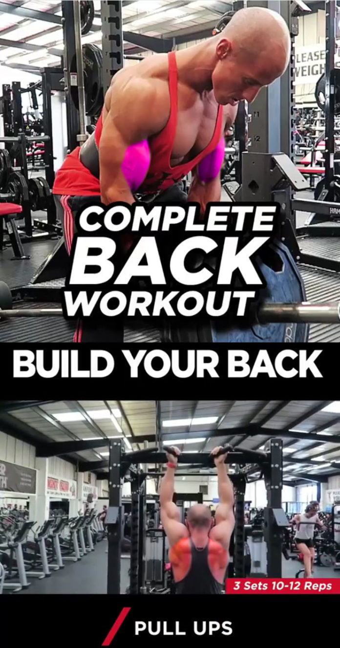 COMPLETE BACK WORKOUT | GUIDE