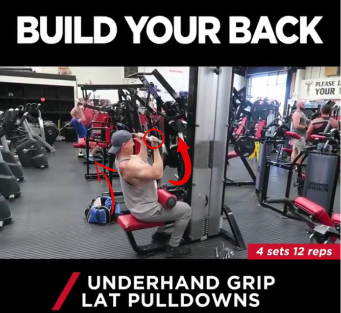 COMPLETE BACK WORKOUT | GUIDE